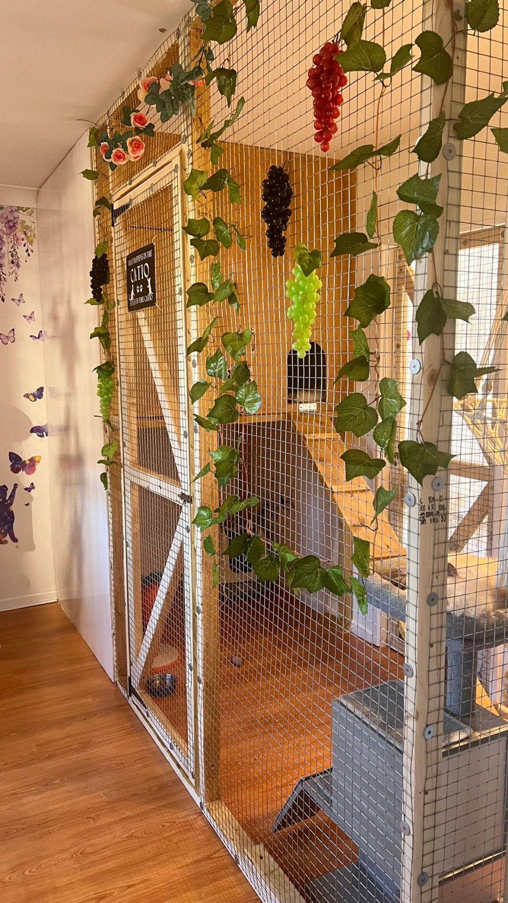Cattery London