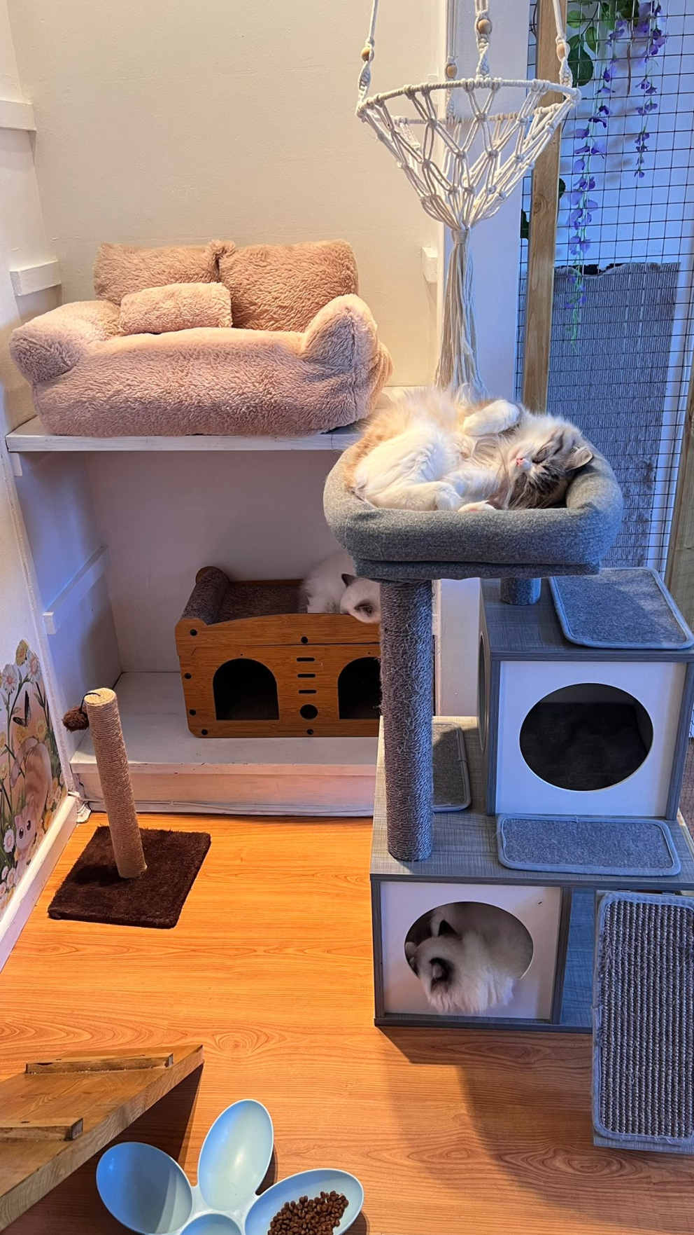 Cattery London